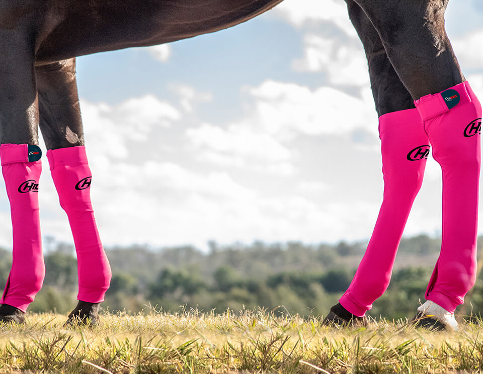 Hidez Equine Seamless Compression Socks (double thickness) - Fuchsia ...