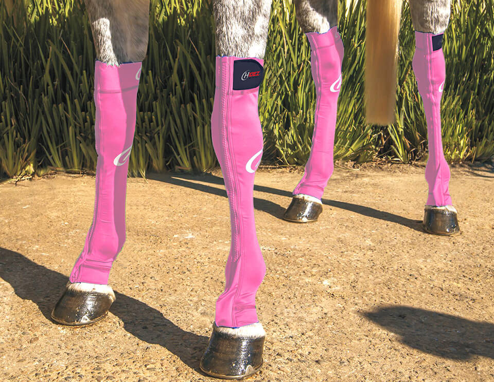 Hidez Equine Compression Socks (single thickness) - Lavender – Premium Blue