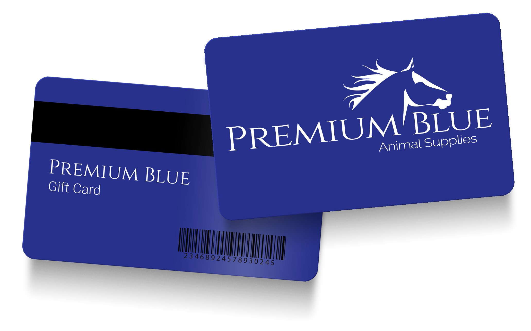 Premium Blue Gift Card